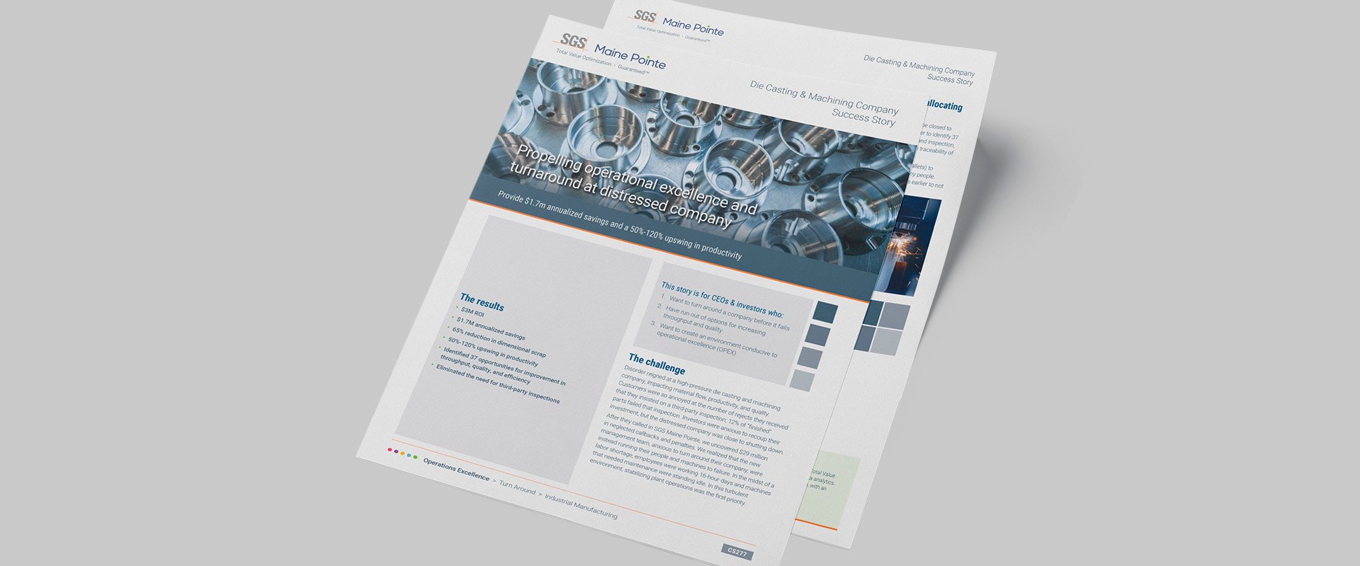 Propelling operational excellence & turnaround at distressed companies